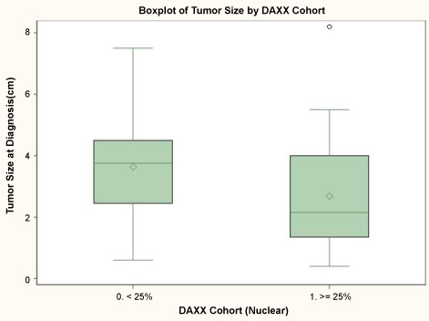 Adult Glioblastoma and the Role of DAXX (Death Domain Associated ...